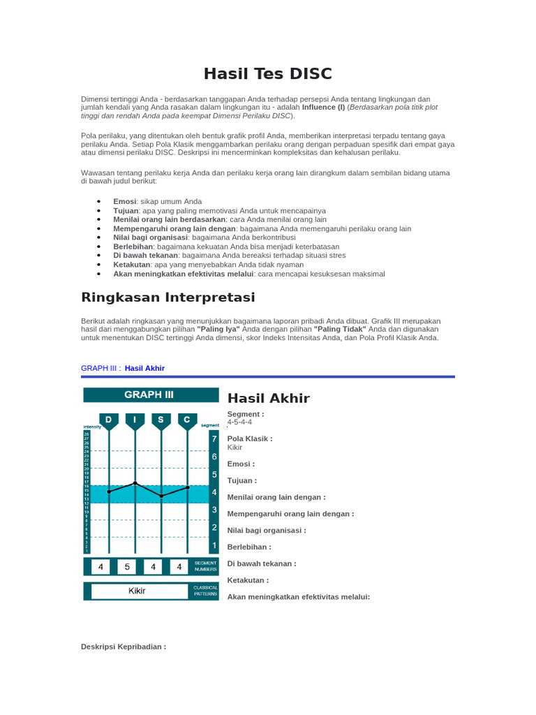 Hasil Tes DISC | PDF