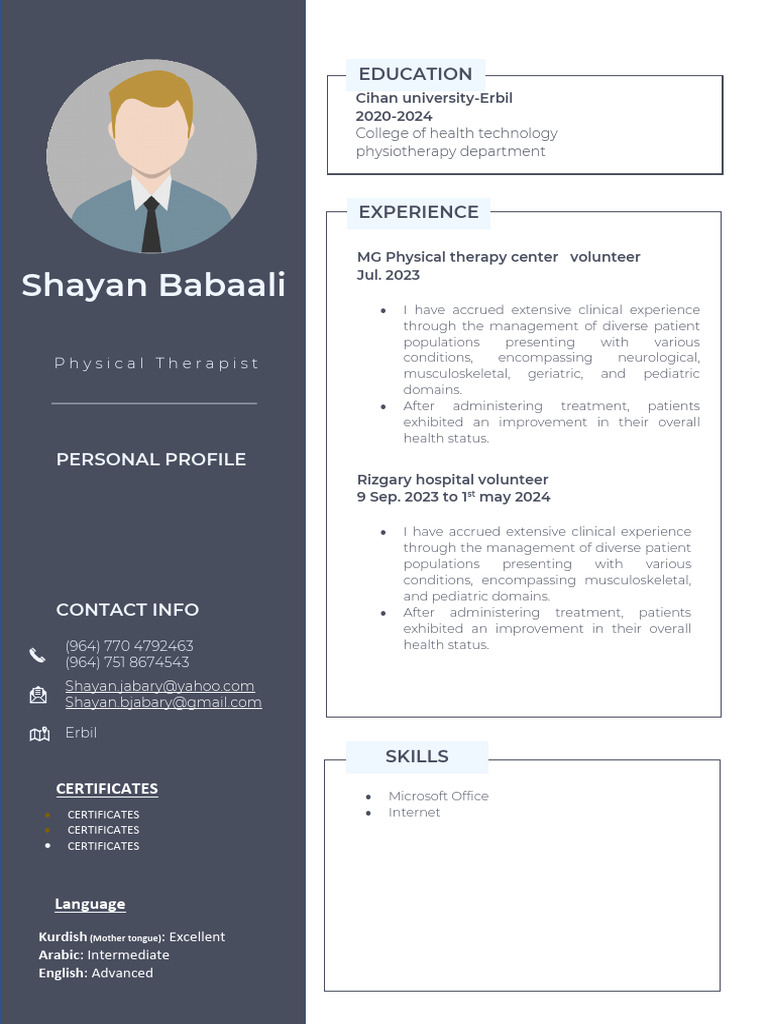 CV Shayan | PDF