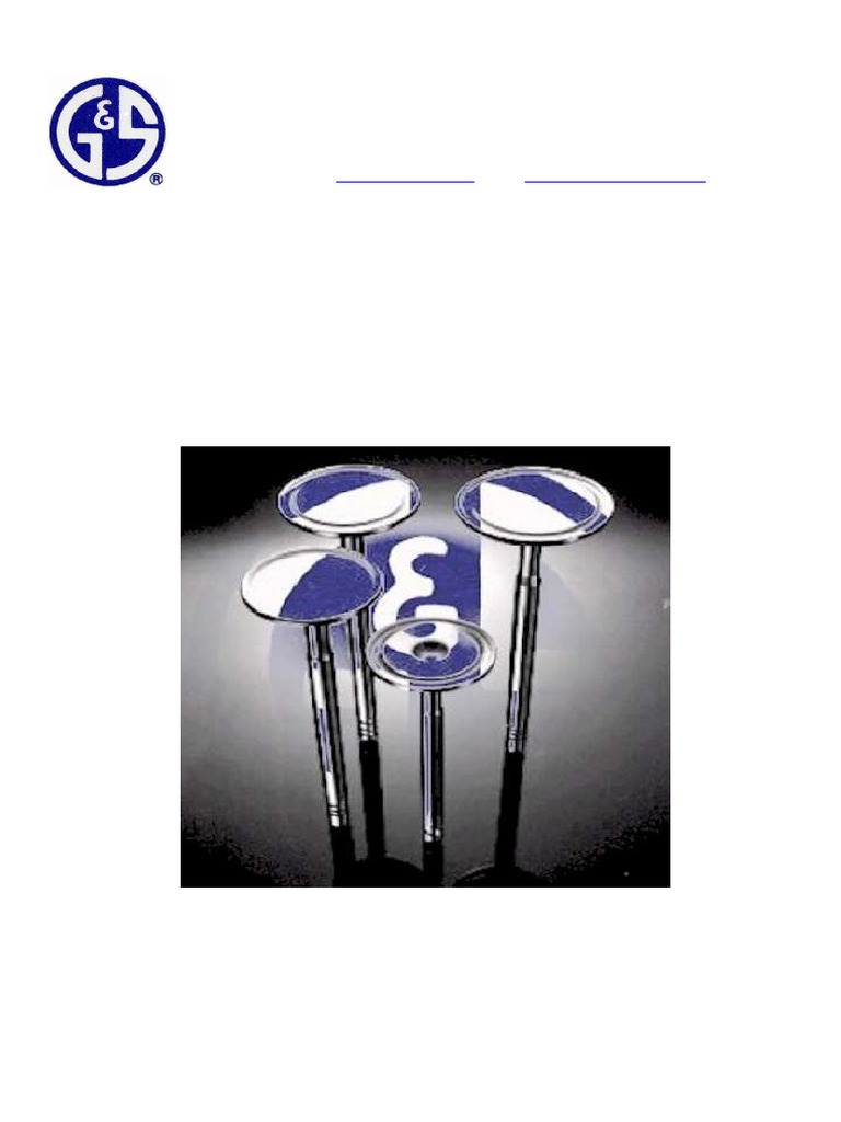 GS Valves Technical Infomation | PDF