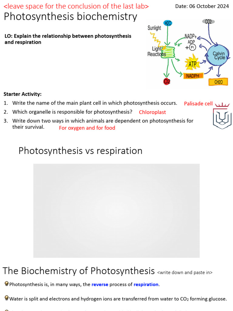 1.2a Photosynthesis Biochemistry | PDF