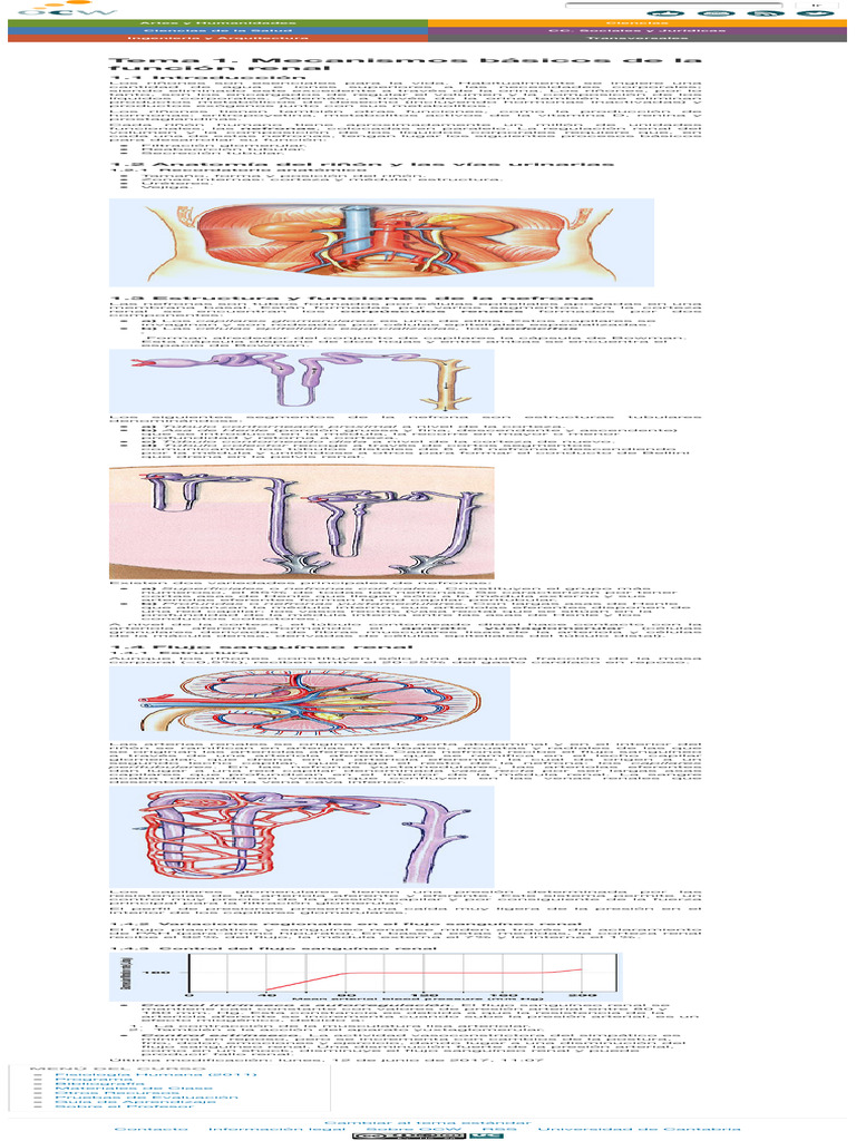 G367 Tema 1. Mecanismos Básicos de La Función Renal | PDF