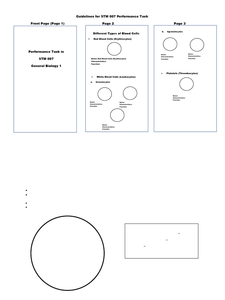 Guidelines for STM 007 Performance Task (1) | PDF