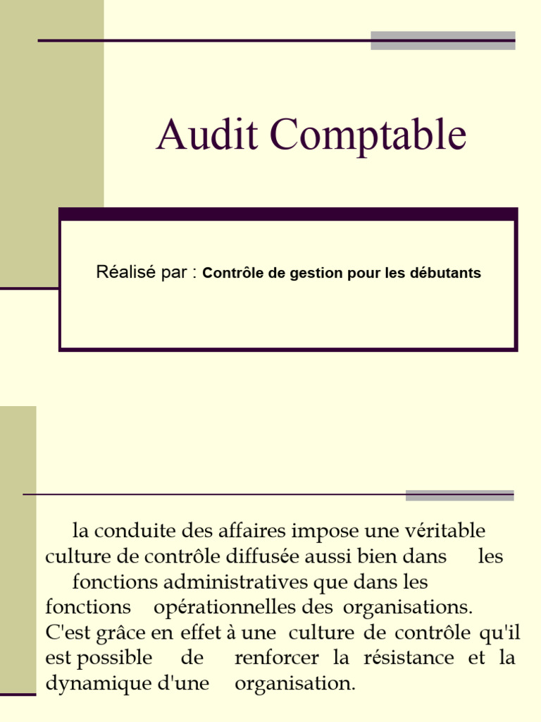 Audit-Comptable - WWW - Coursdefsjes.com - PPT - Google Slides | PDF
