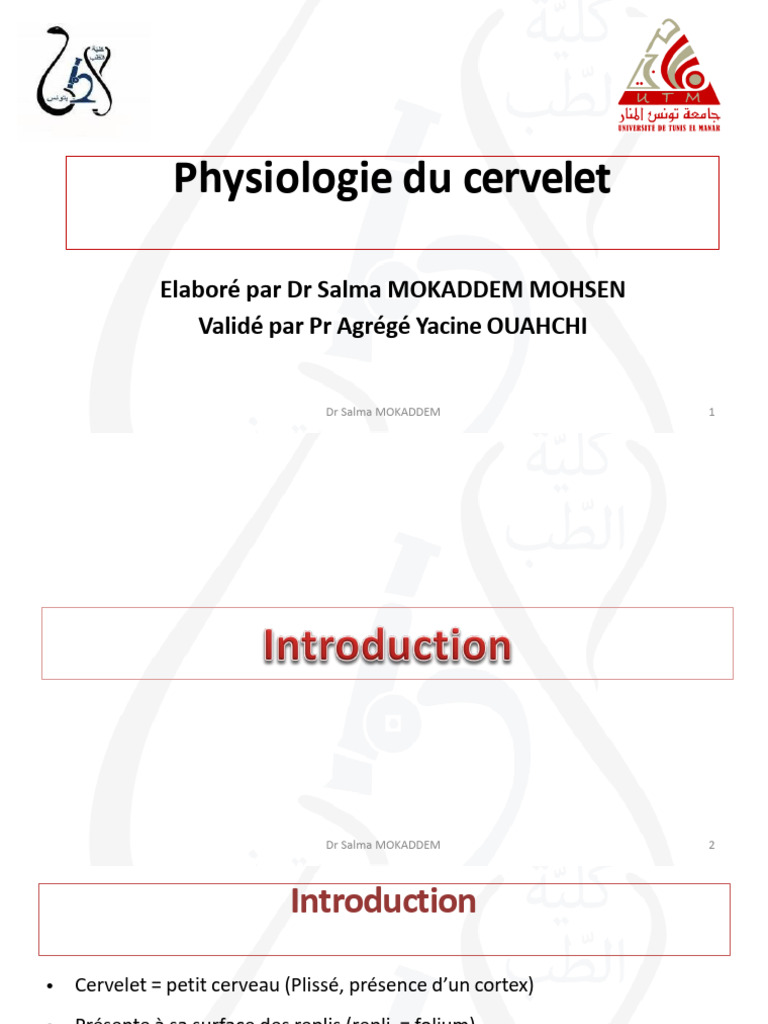 Keynote Remote | PDF