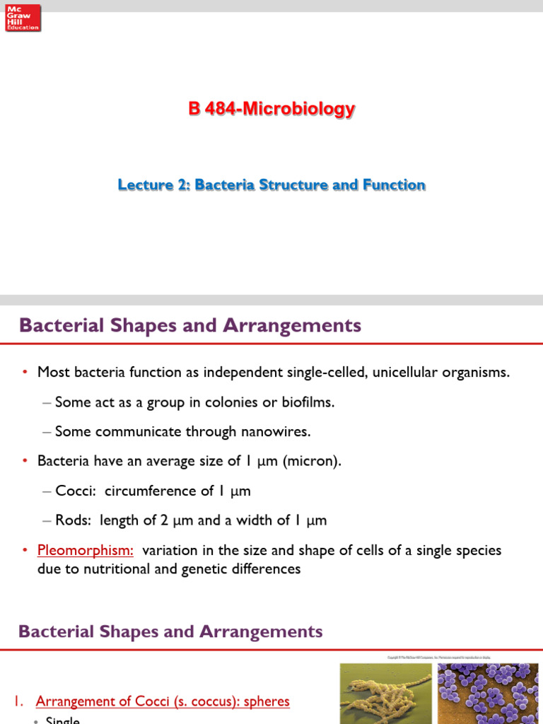 Lecture 2-Bacteria Structure and Function | PDF | Lipopolysaccharide | Cell Membrane