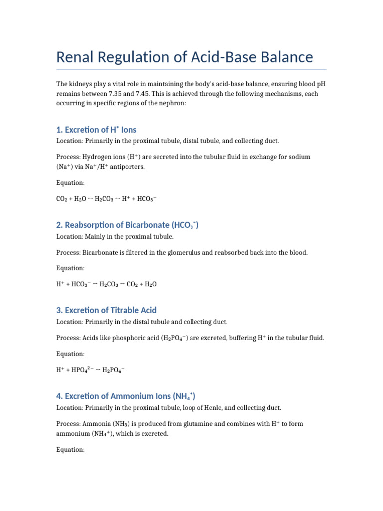 Renal Regulation Acid Base Balance | PDF | Cooking, Food & Wine