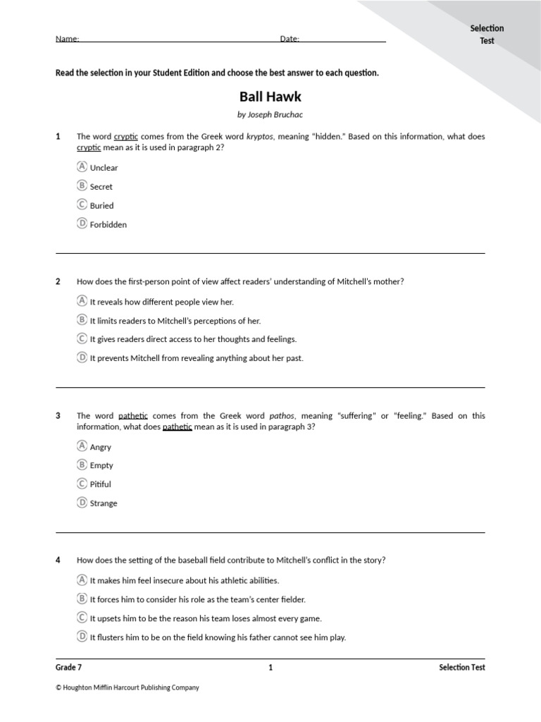 Into literature grade 7 Ball hawk | PDF
