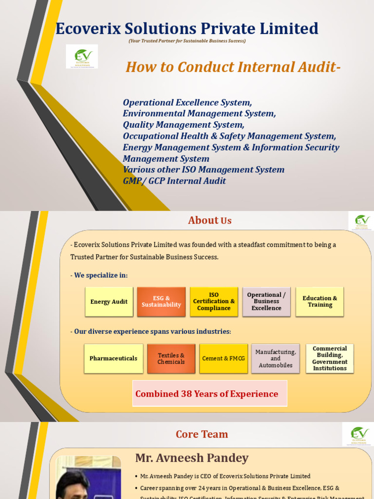 How To Conduct Internal Audit | PDF