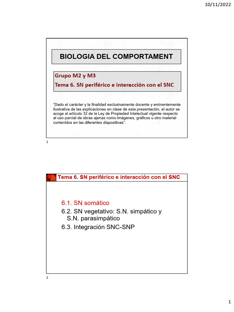 Devolución Tema 6 (2 Diapositivas) | PDF