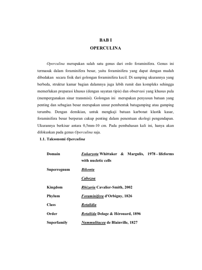 Paper Operculina | PDF