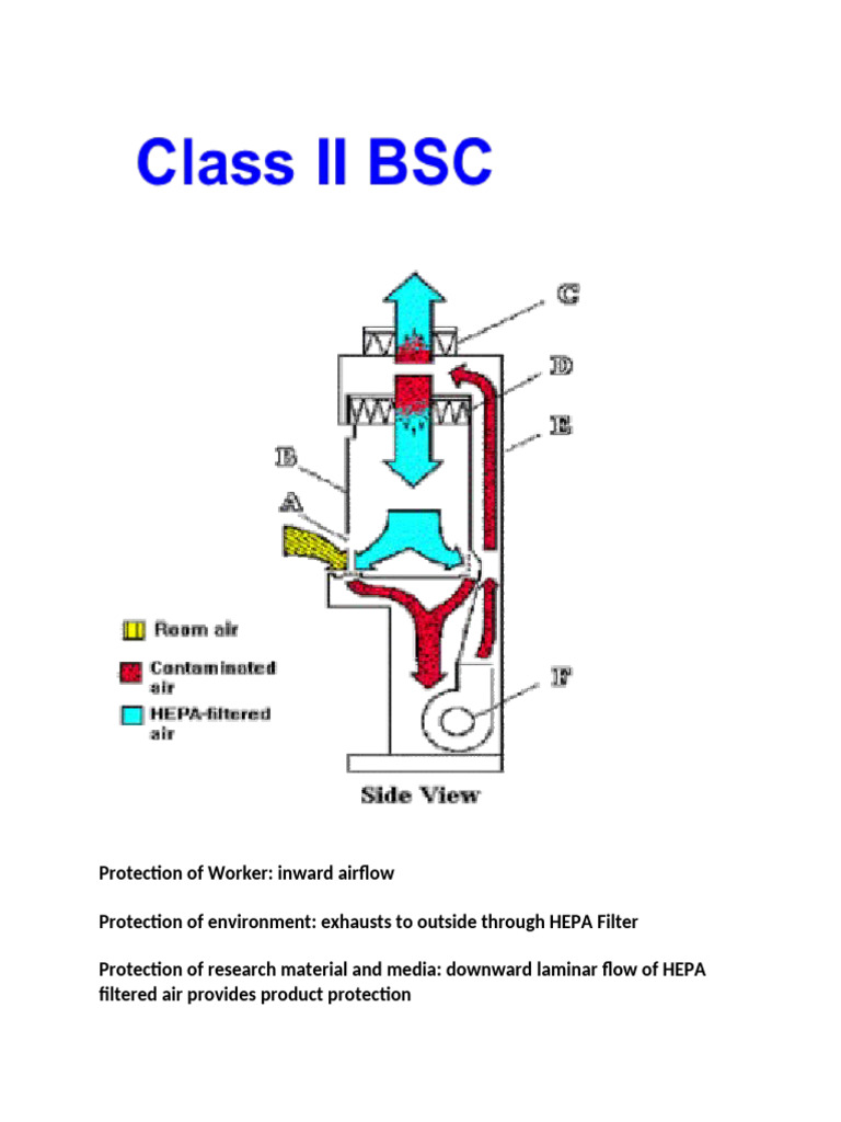 BSC Image | PDF