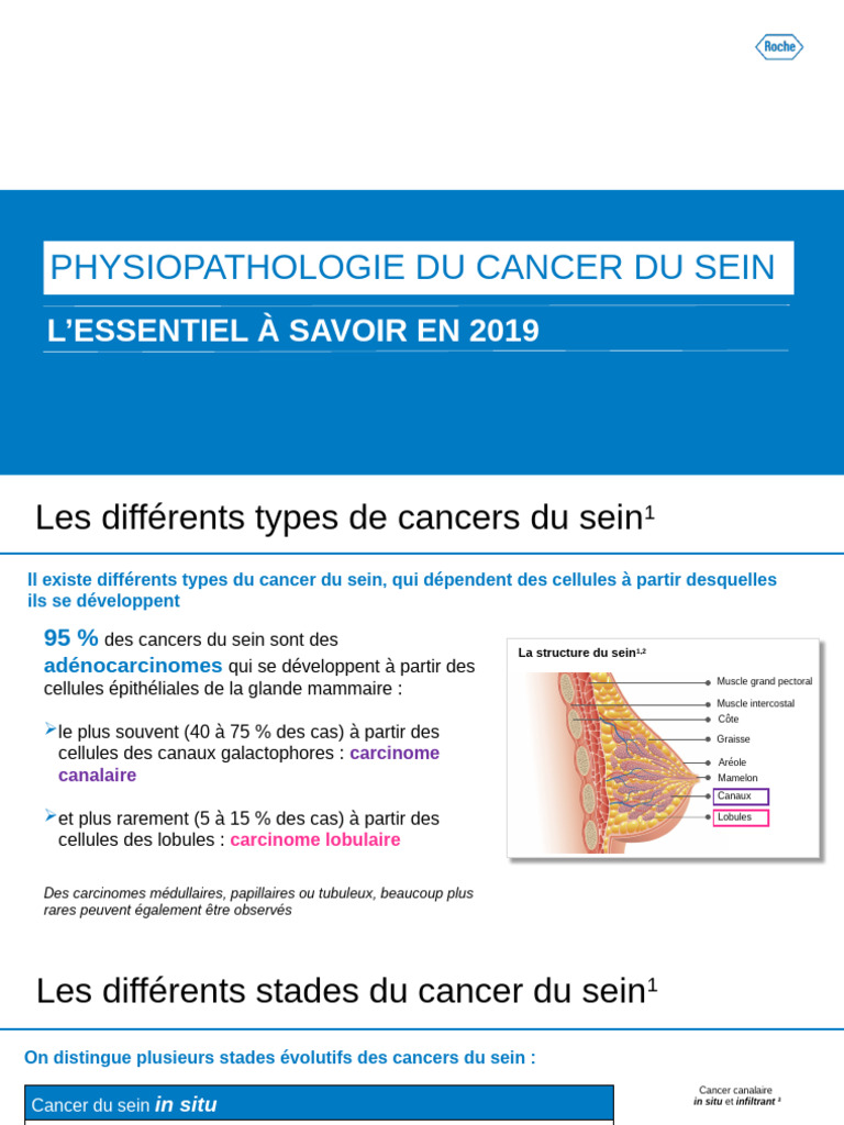 HCP-Physiopathologie Cancer Du Sein V3 | PDF