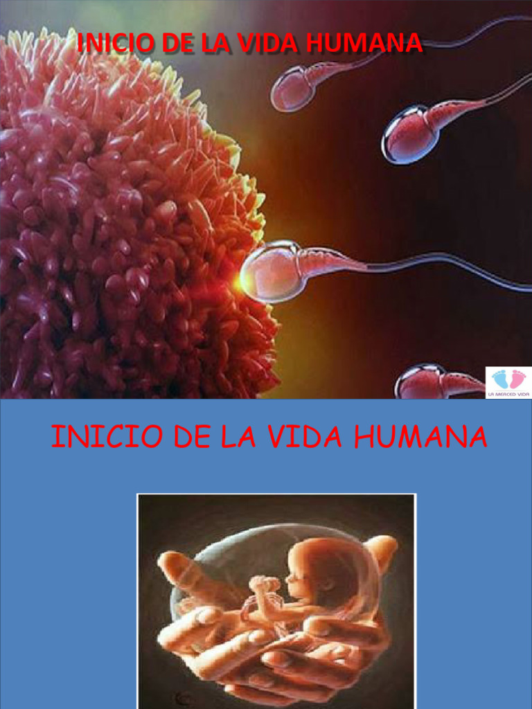 Inico de La Vida | PDF