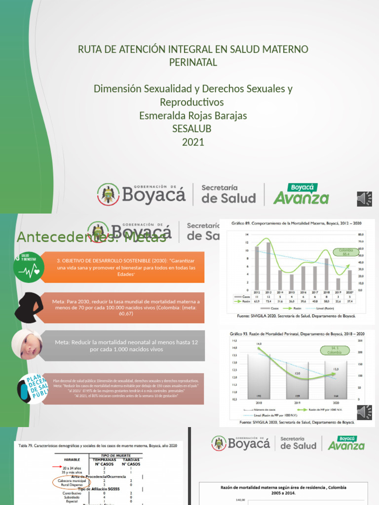 Ruta Materno Perinatal | PDF