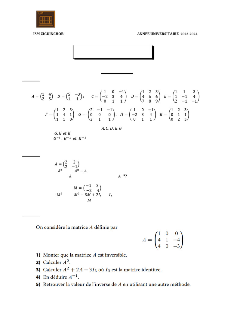 TD Matrices Plusieurs Var LG 2023 2024 Sem1 | PDF
