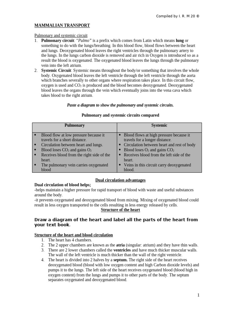 Mammalian Transport | PDF