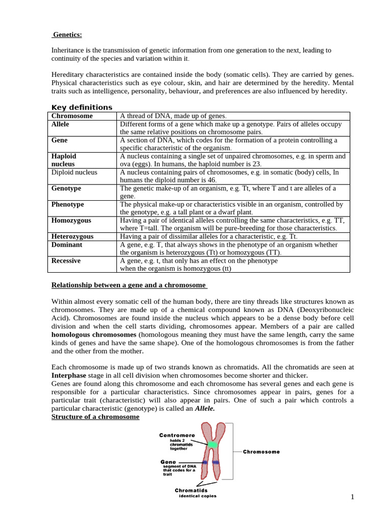Genetics | PDF