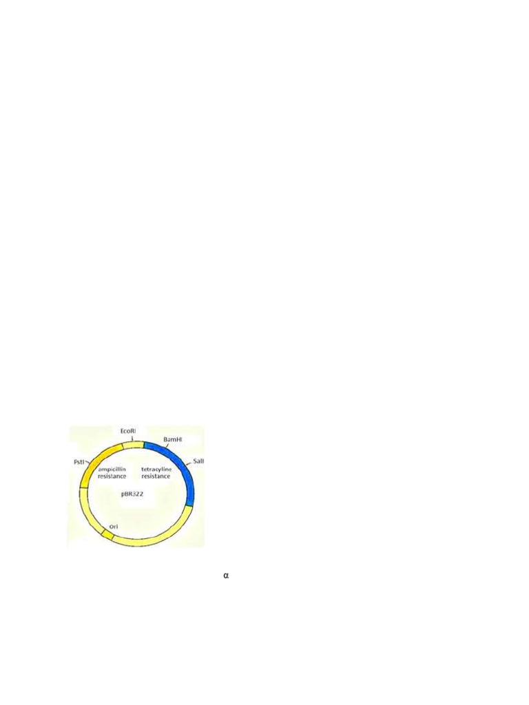 Biotechnology Processes Worksheet Class XII | PDF
