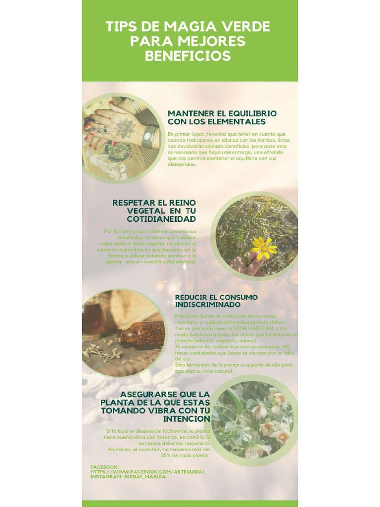 04 - Tips de Magia Verde | PDF
