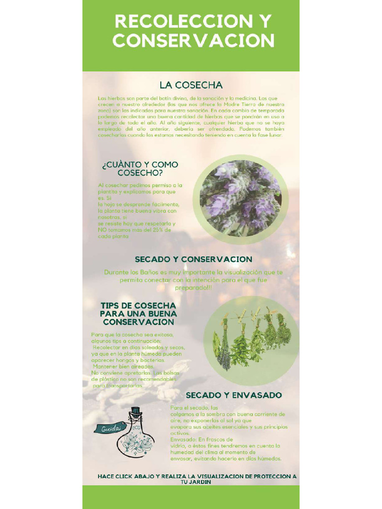 05 Recoleccion y Conservacion | PDF