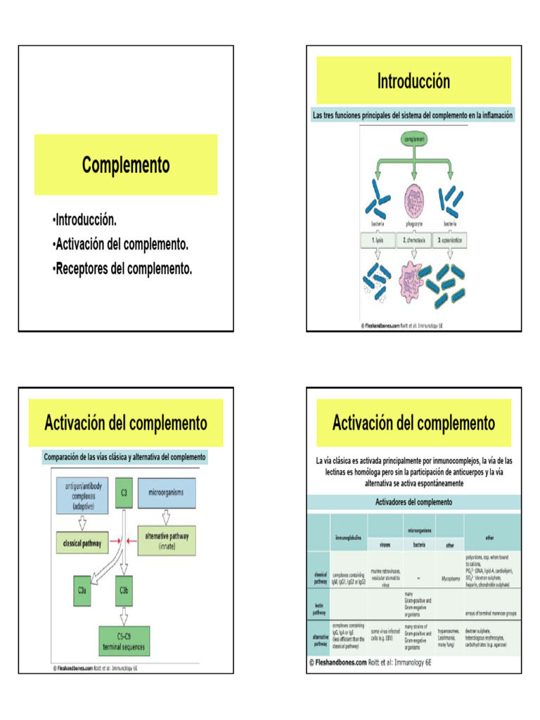 complemento | PDF