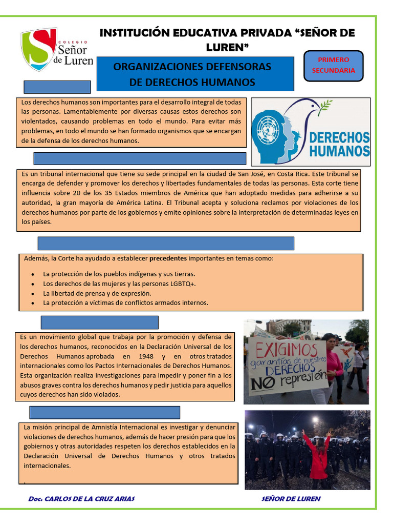 FICHA 1ro SEC SL DPCC ORGANIZACIONES DEFENSORAS DE DD - HH. | PDF
