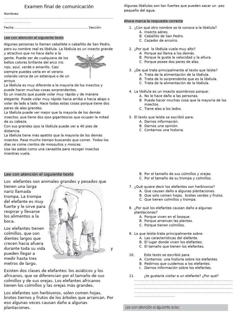 examen final de comunicacion | PDF