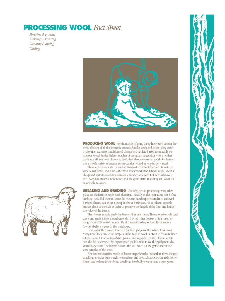 Wool Fact Sheets Processing | PDF | Wool | Home & Garden