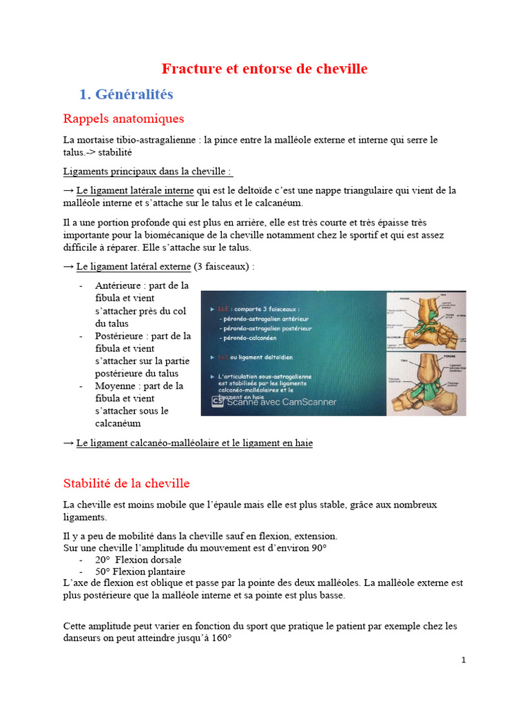 Fracture Et Entorse de Cheville | PDF
