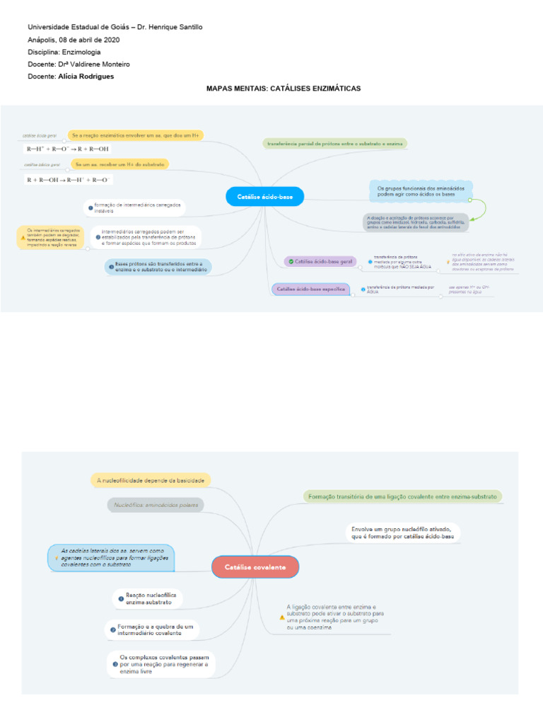 Enzimologia Mapas 2 | PDF
