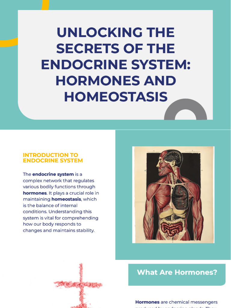 Slidesgo Unlocking The Secrets of The Endocrine System Hormones and ...