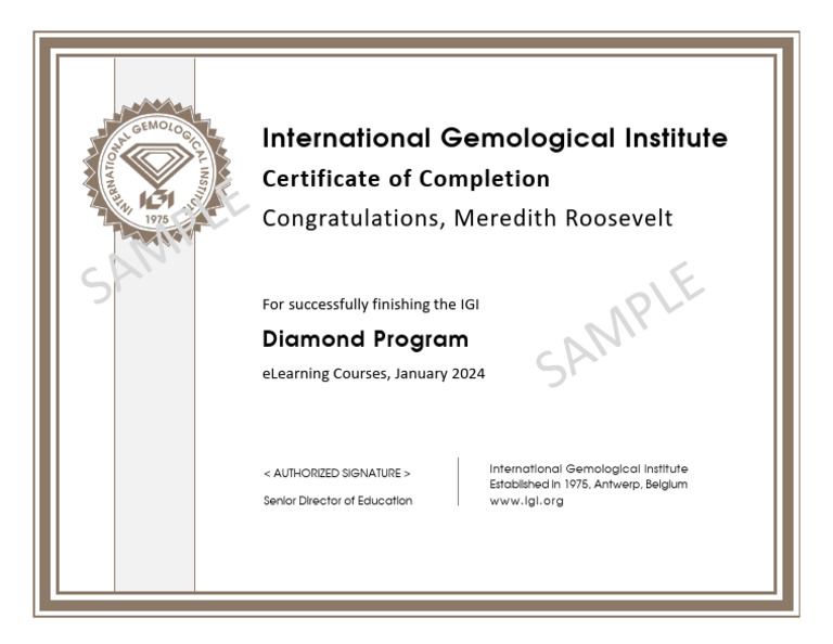 Igi ELearning Coc DP Sample | PDF