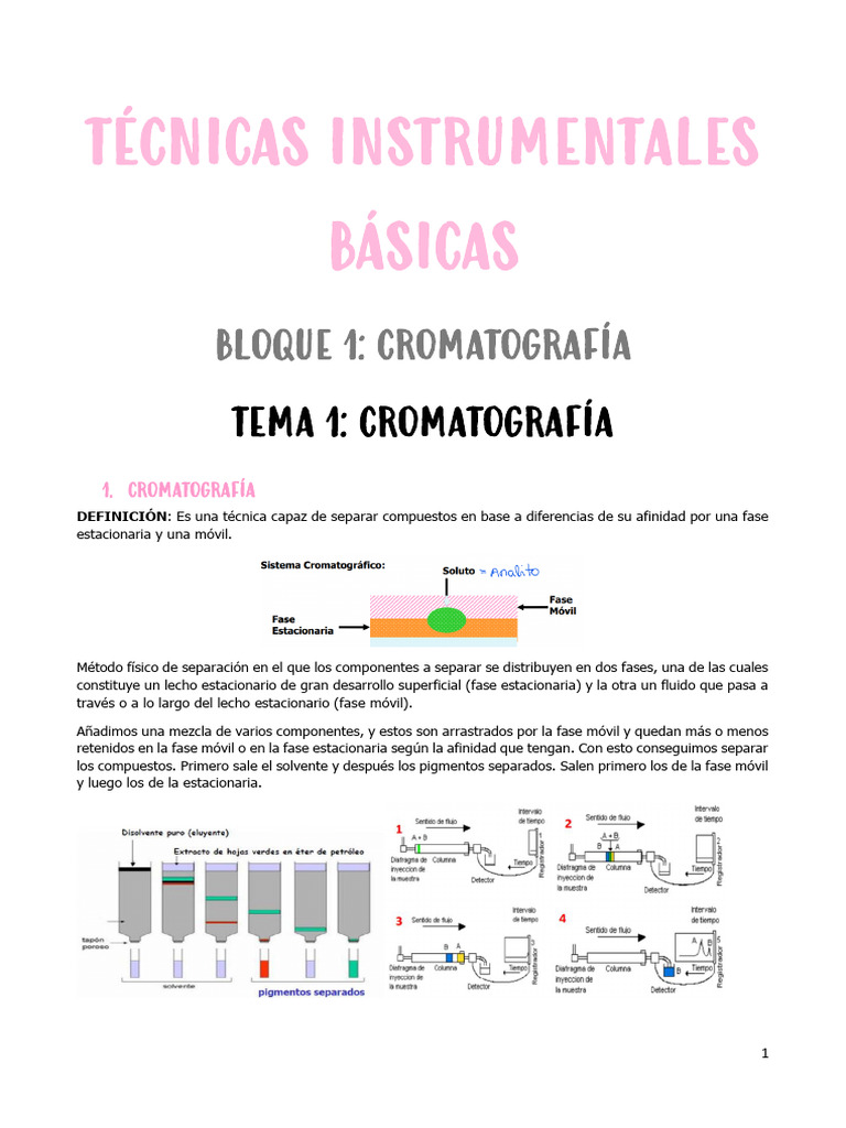 Resumen Técnicas Instrumentales Básicas | PDF