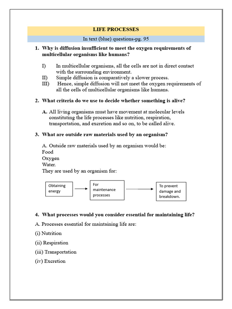 LIFE PROCESSES-notes | PDF