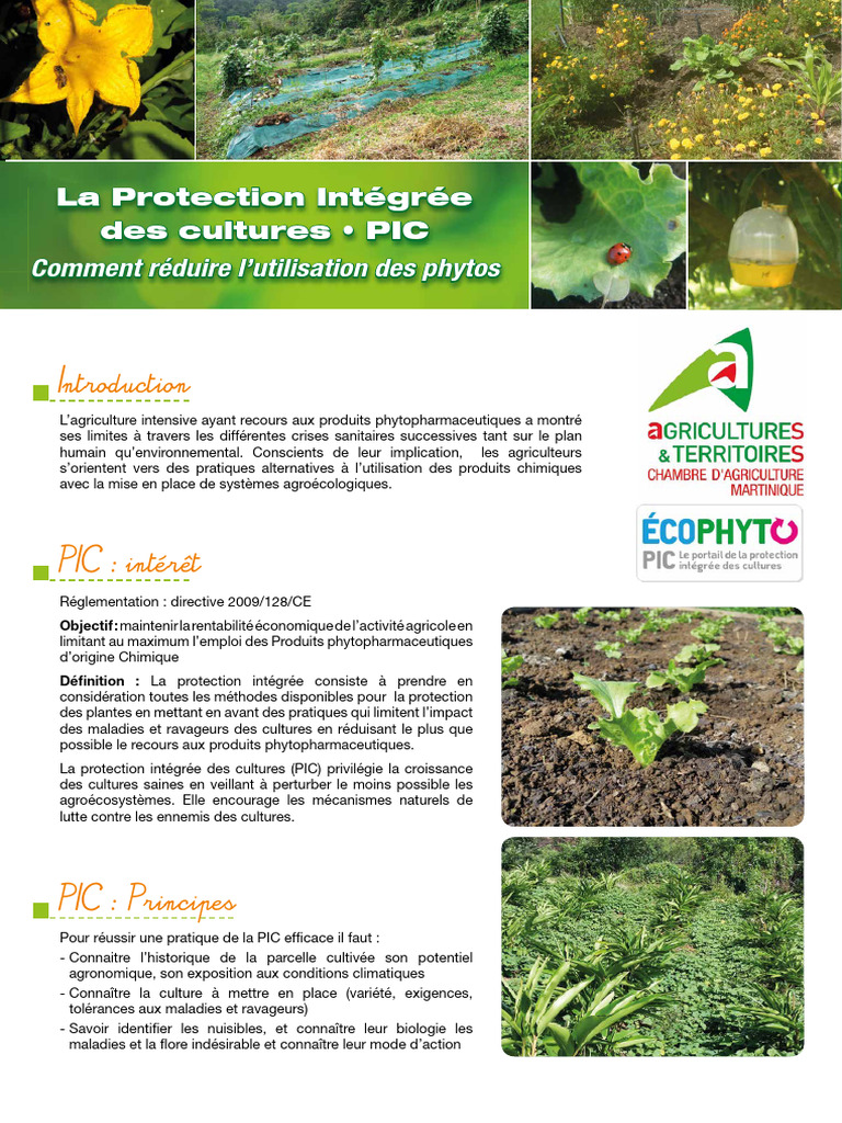 La Protection Integree Des Cultures | PDF