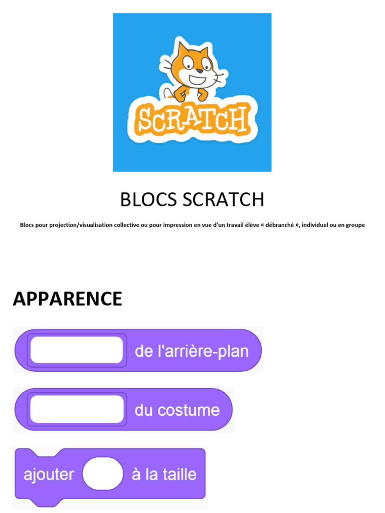 Scratch - Blocs Pour Projection Ou Impression | PDF