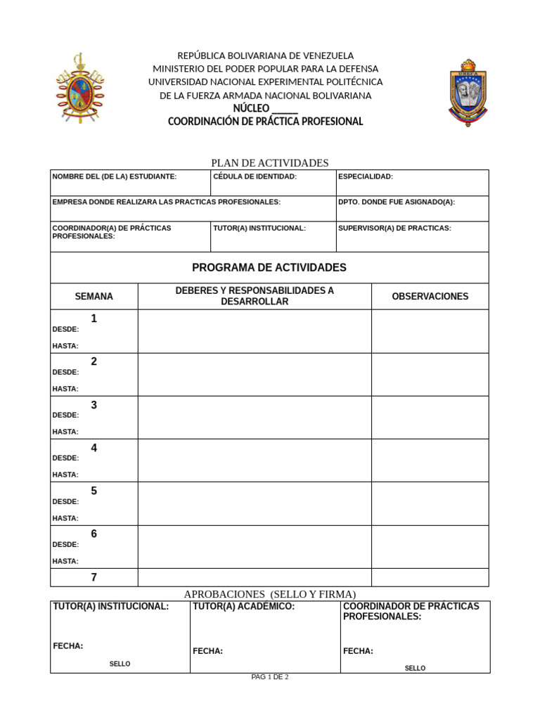 Formato Plan de Actividades | PDF