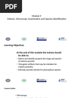 Malaria Parasite Counting | PDF | Malaria | White Blood Cell