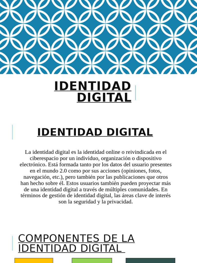 Identidad Digital | PDF