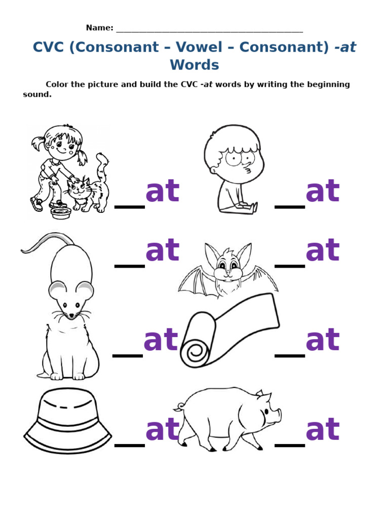 CVC -at words worksheet | PDF