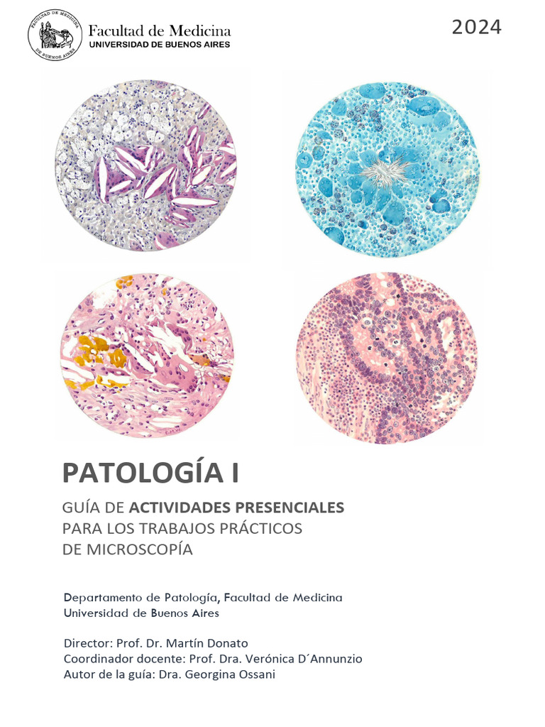 Guía de Actividades Presenciales para Los TP de Microscopía - TP 01 | PDF