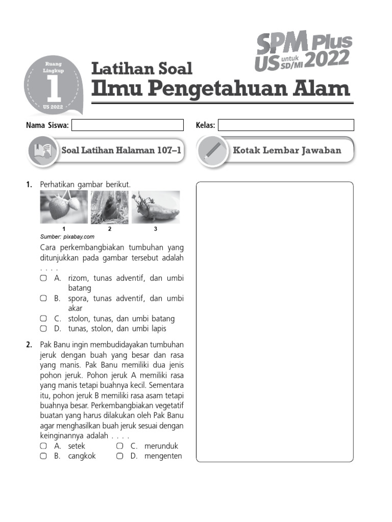 Media1025000360 0107 01 | PDF