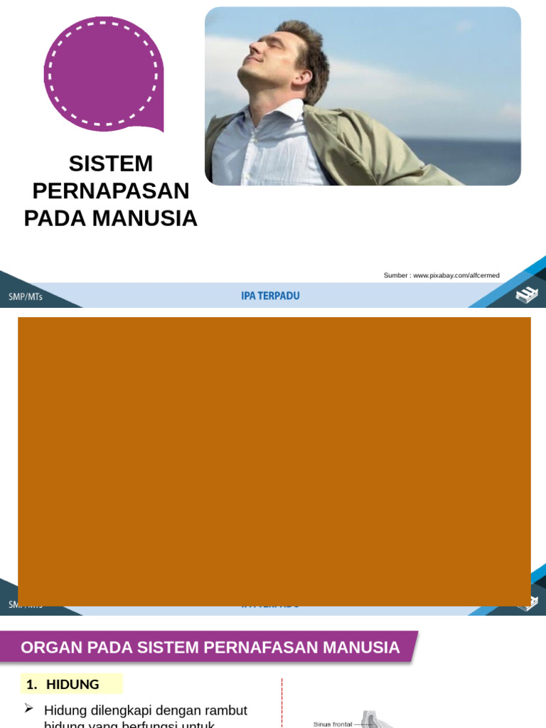 2C. PPT Modul 2 | PDF