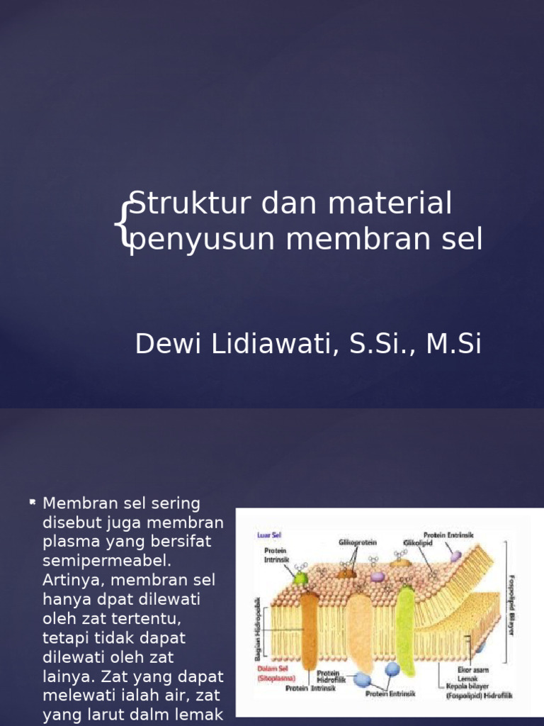 Struktur Dan Material Penyusun Membran Sel | PDF