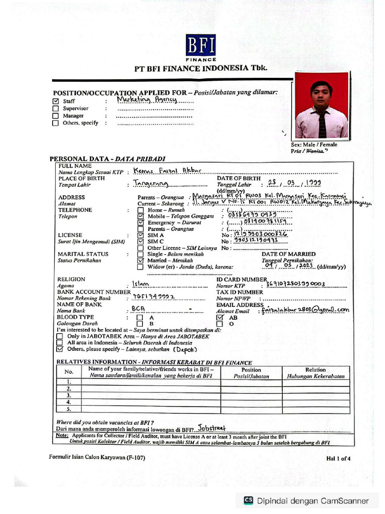 Form BFI Compressed | PDF
