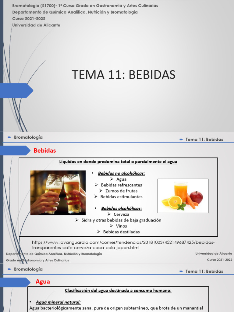 Tema 11 Bebidas | PDF