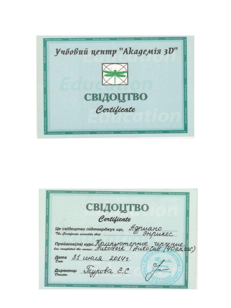 Certificado AutoCad | PDF