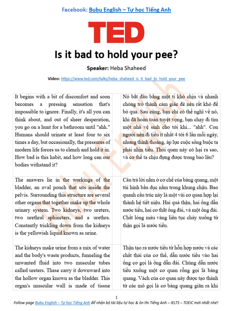 Is It Bad To Hold Your Pee | PDF | Urinary Incontinence | Foreign Language Studies