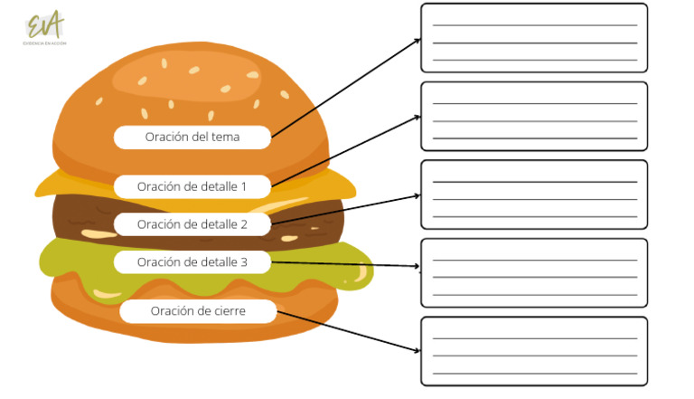 Parrafo Hamburguesa - Programa Piam | PDF