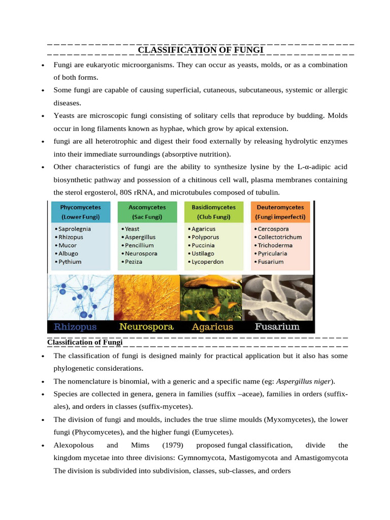 Classification of Fungi | PDF
